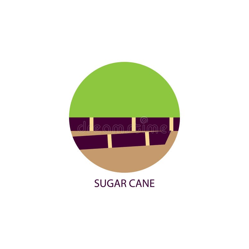 Sugar, Sugar Cane Logo Vector Stock Vector - Illustration of concept ...