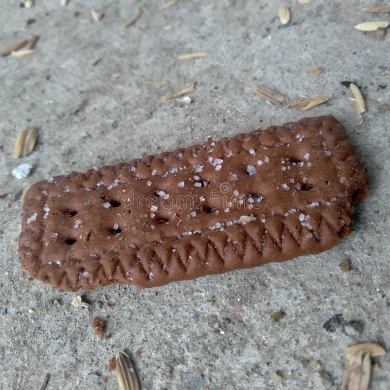 Sugar-topped Chocolate Biscuits Stock Image - Image of biscuits, coated ...