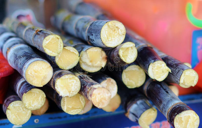 Sugarcane stock photo. Image of sugarcane, street, snack - 45836448