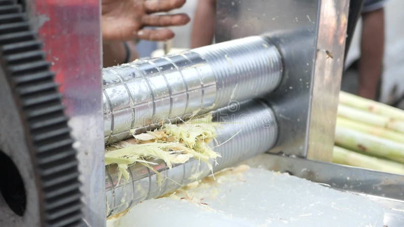 Sugarcane Using To Make Sugar Cane Juice. Stock Video - Video of crop ...
