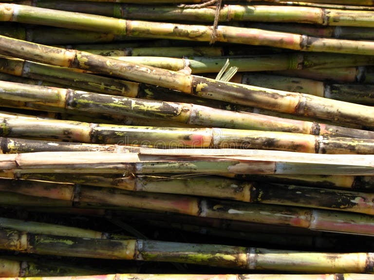 Sugar Mill Stock Illustrations – 1,187 Sugar Mill Stock Illustrations ...