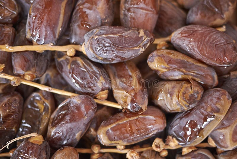 Sugared dates on a tray stock photo. Image of dinner - 130203374