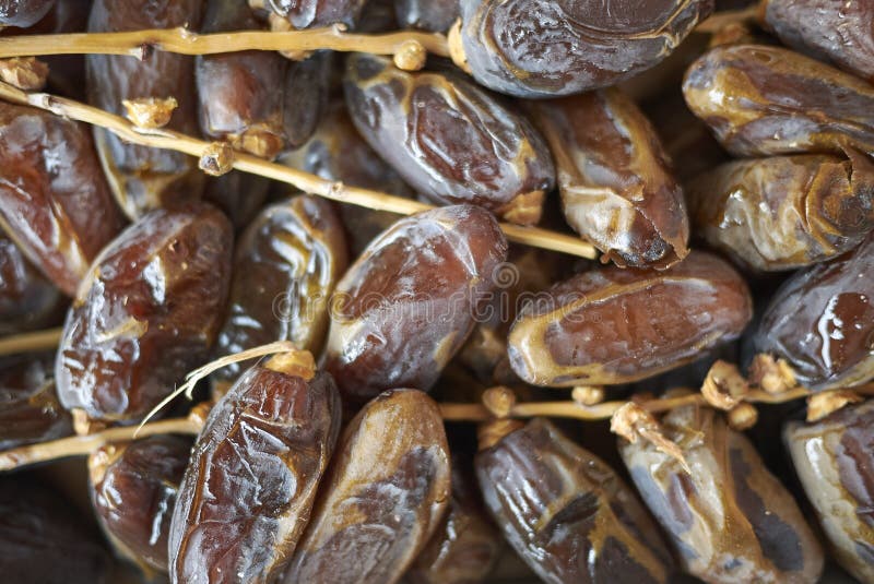 Sugared dates on a tray stock image. Image of eastern - 130203259