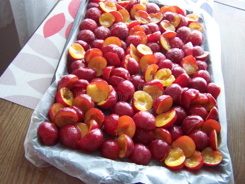 Sugared plums stock photo. Image of fruit, ready, preparing - 136474748