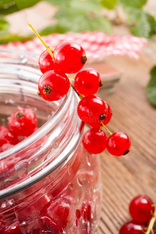 Sugared red currant stock image. Image of leaf, currant - 33716623