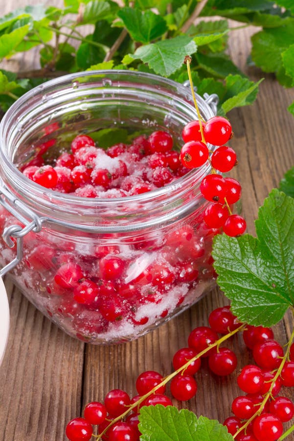 Sugared red currant stock photo. Image of detail, green - 32884474