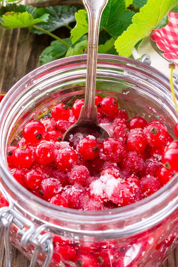 Sugared red currant stock image. Image of fruits, dessert - 32884509