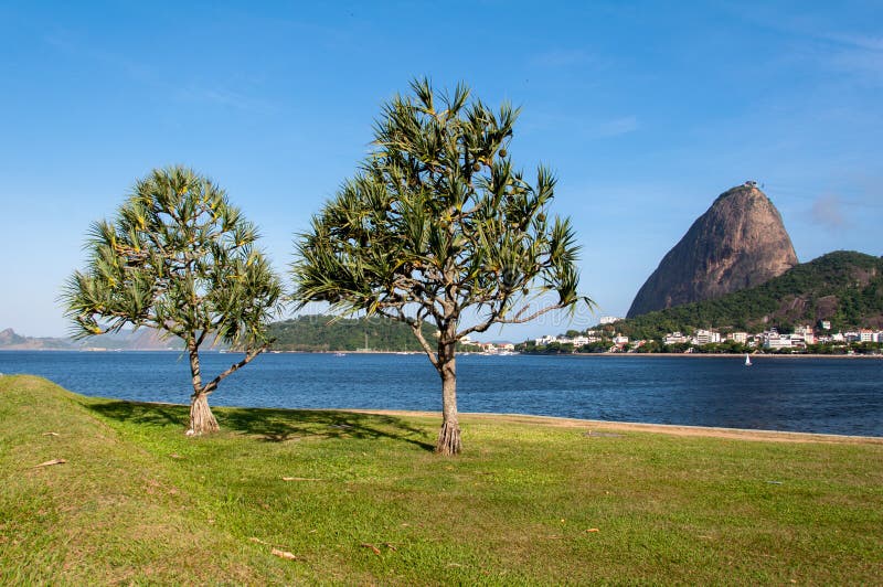 Sugarloaf Mountain and Two Trees Stock Image - Image of outdoors ...