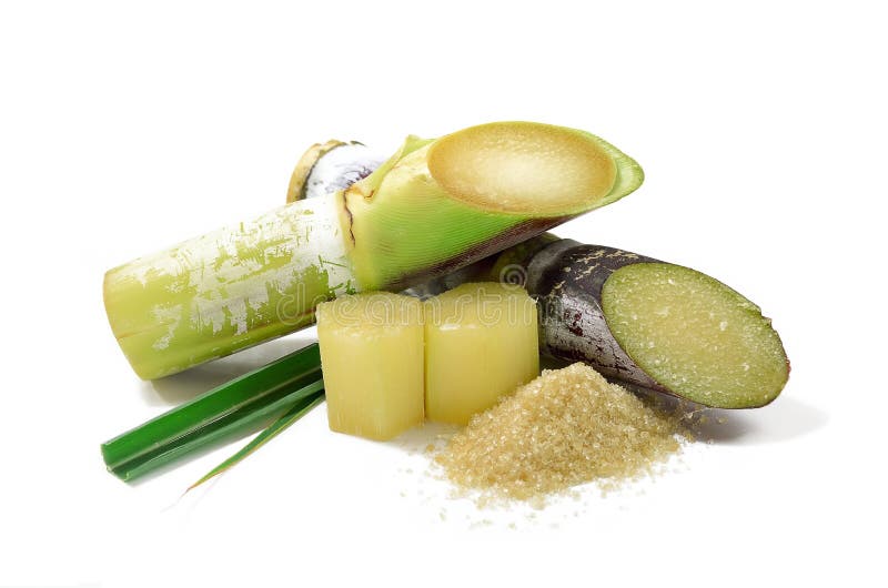 Suikerriet Op Witte Achtergrond Wordt Geïsoleerd Die Stock Afbeelding ...