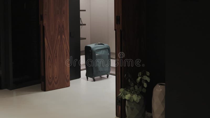 A Suitcase Standing in a Wardrobe in a Modern Interior, a Minimalist ...
