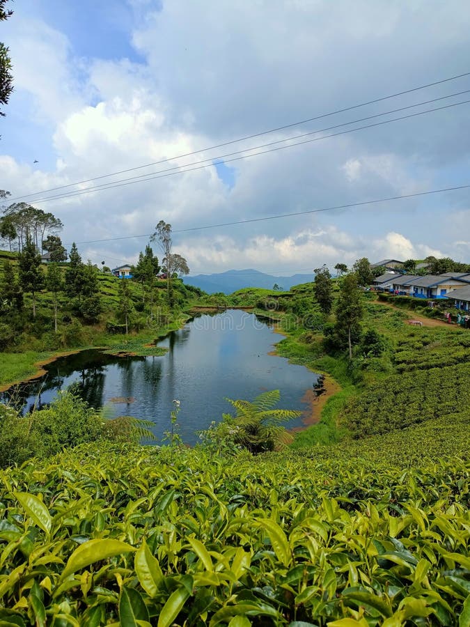 Sukaresmi, Rancabali, Bandung, West Java, Indonesia Stock Image - Image ...