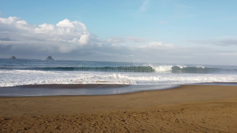 Sukumade Beach in East Java, Where the Newly Hatched Turtles are ...