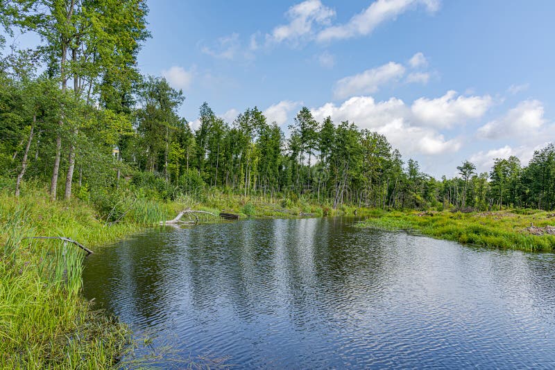 The Sula River in the Republic of Belarus Stock Photo - Image of grass ...