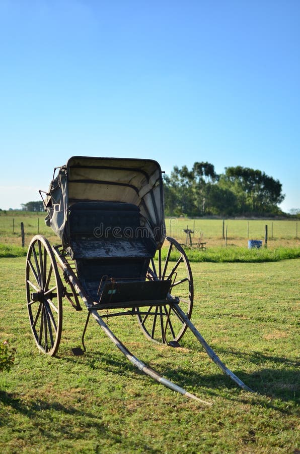 Sulky in field stock image. Image of sulky, argentina - 45473825