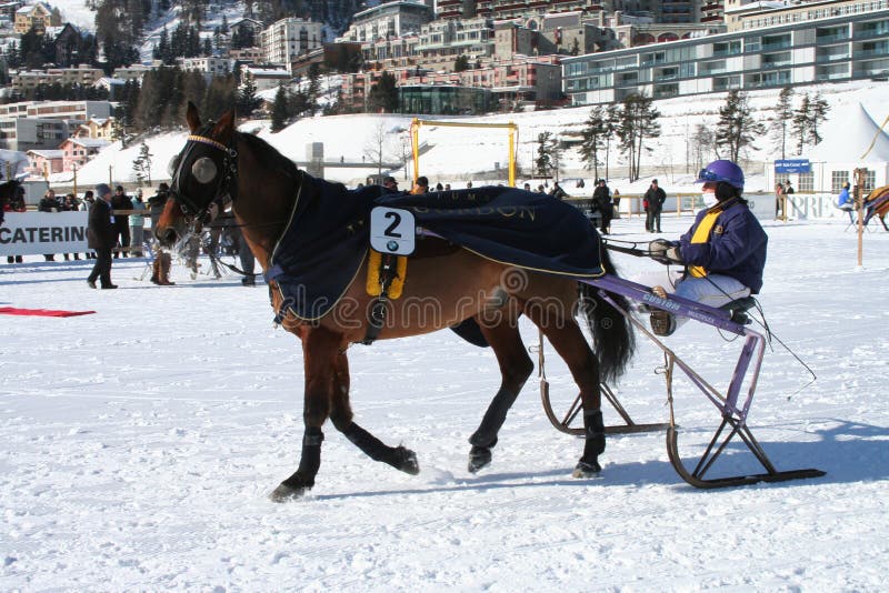 Sulky Race editorial stock image. Image of switzerland - 23290399