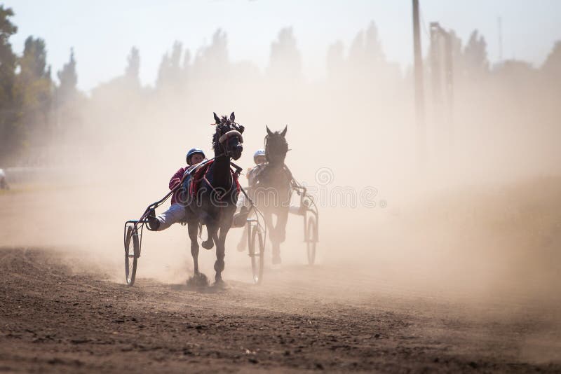 Sulky Racing on the Hippodrome Editorial Photo - Image of jockeys ...