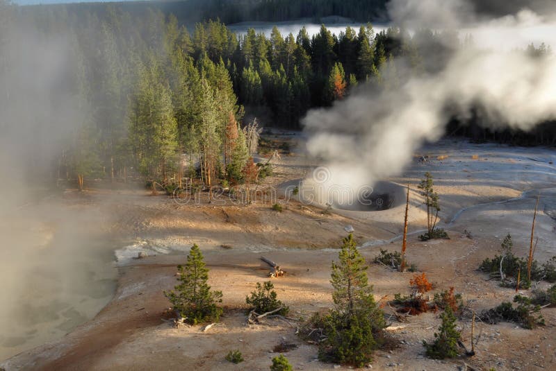 Sulphur Caldron, Yellowstone Stock Image - Image of basin, national ...