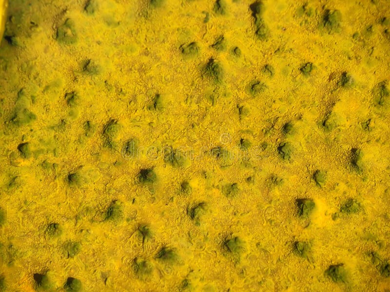 Sulphur Pool Background stock photo. Image of sulphur - 18068500