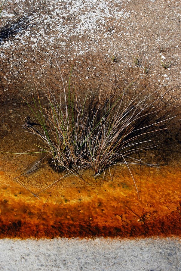 Geothermal deposits stock photo. Image of detail, zealand - 11883176