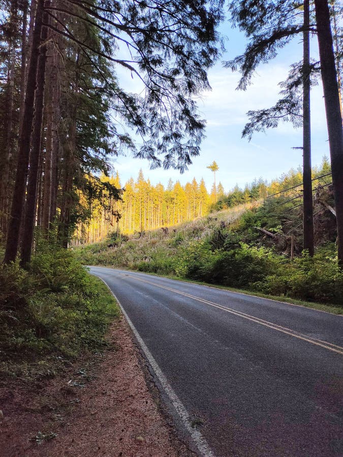 Sultan Basin Rd ,Sultan Washington Stock Photo - Image of highway, road ...