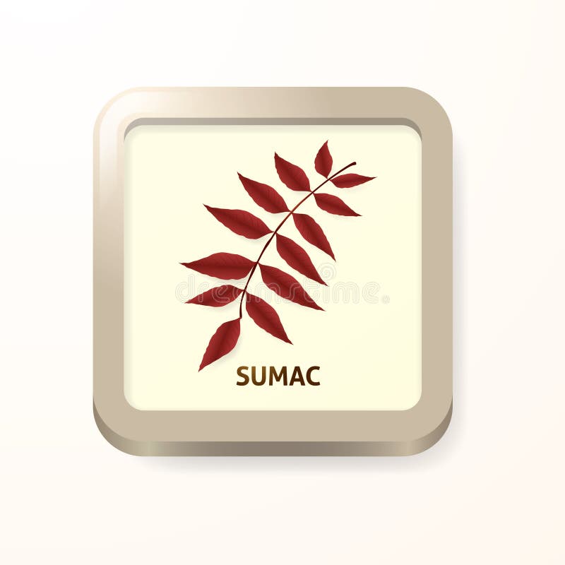Sumac Leaf. Vector Illustration Decorative Design Stock Vector ...