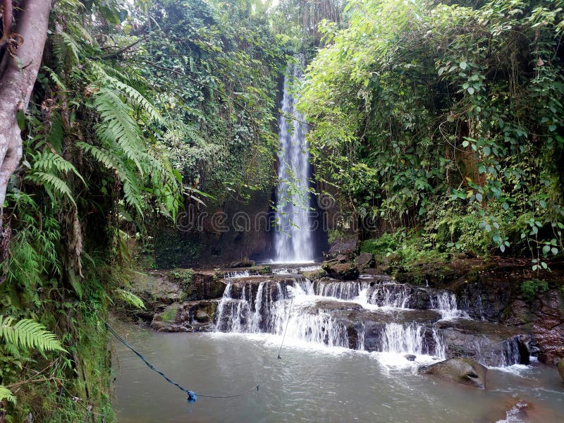 This is a Picture of Sumampan Waterfall, Bali. Stock Photo - Image of ...