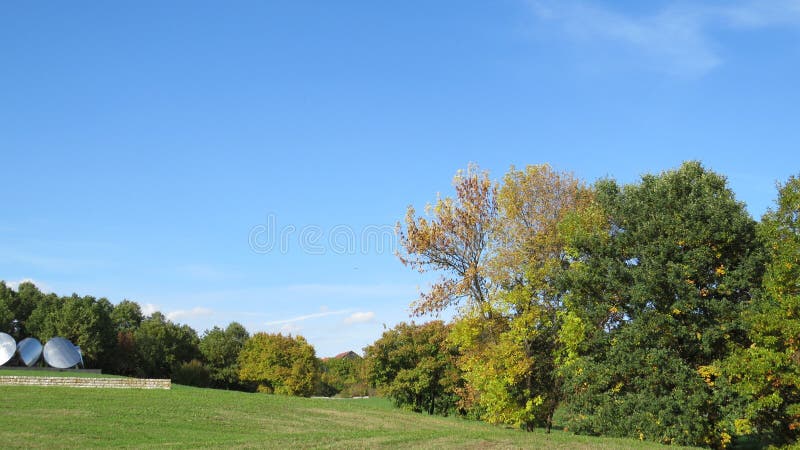 Sumarice stock image. Image of sumarice, park, serbia - 87861733