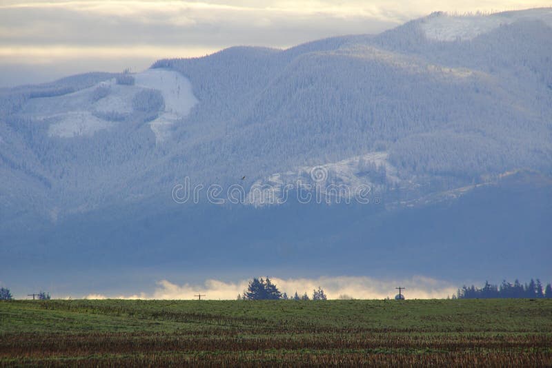 Sumas Winter Landscape stock photo. Image of cold, united - 64202390