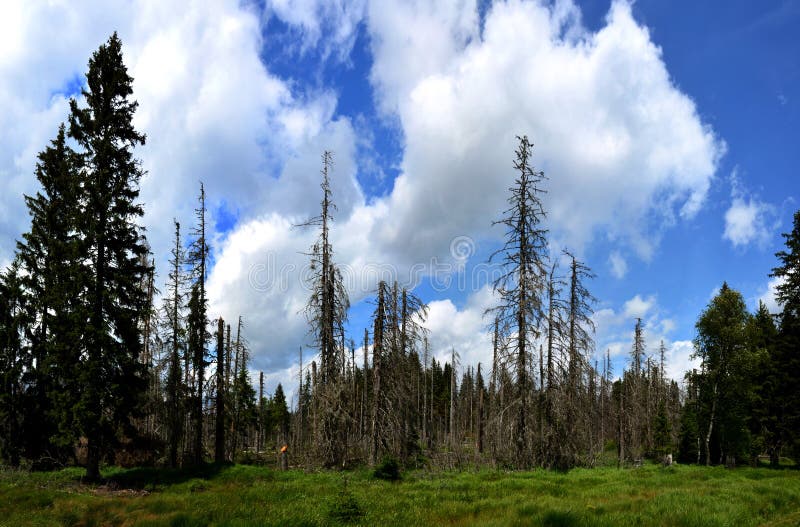Sumava, National Park, Czech Republic Stock Photo - Image of sumava ...