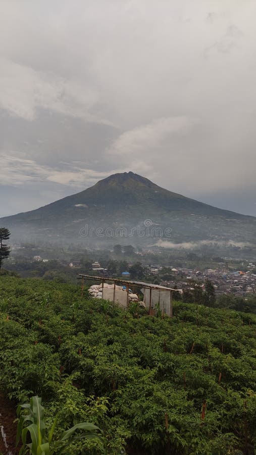 Sumbing Mountain in the Afternoon Stock Photo - Image of mountain ...