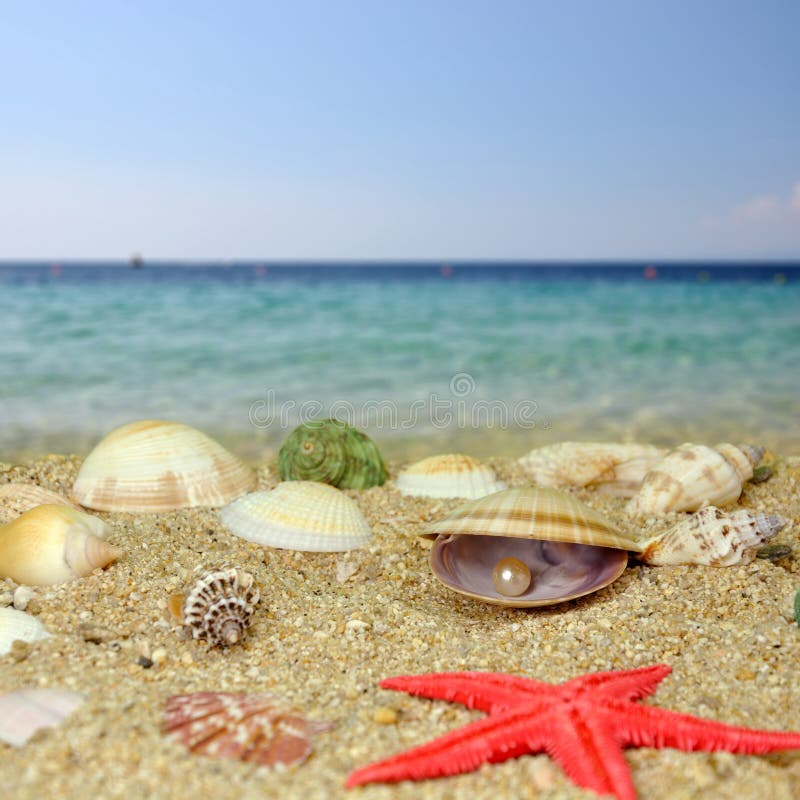 20+ Sumer beach Free Stock Photos - StockFreeImages