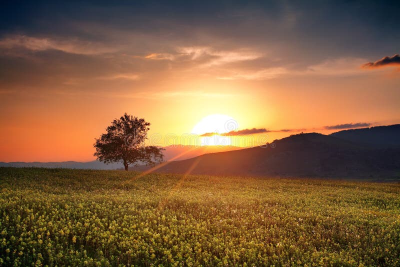 29,580 Hdr Sunset Stock Photos - Free & Royalty-Free Stock Photos from ...