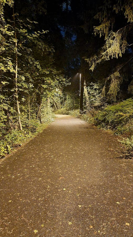 Sumer night walk. stock image. Image of soil, sunlight - 239446205