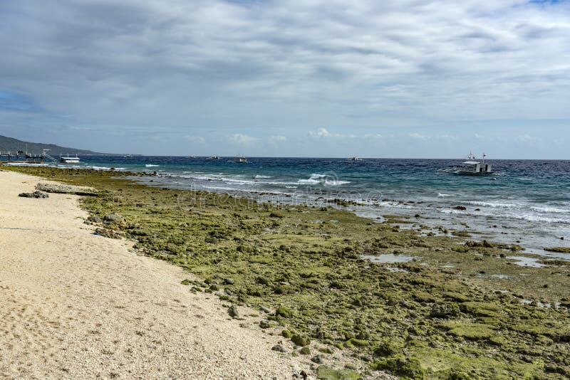 Cebu, Philippines, Asia editorial photography. Image of beach - 184347497
