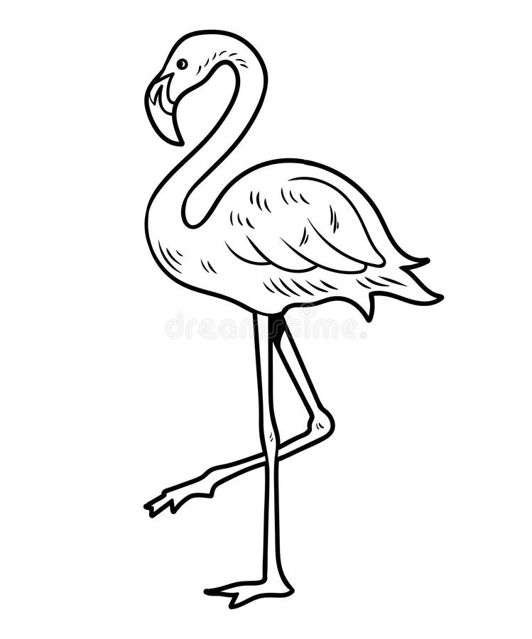 Simple Line Drawing Sketch Flamingo Stock Vector - Illustration of ...