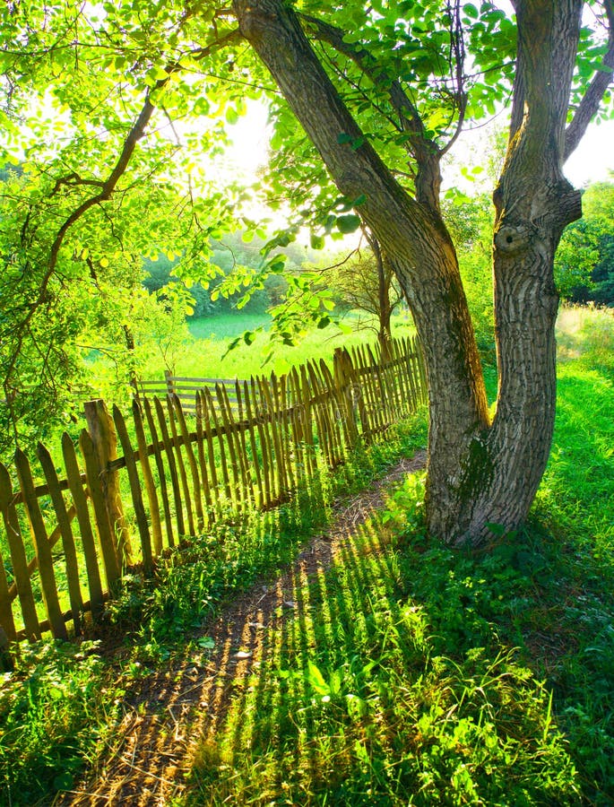 Summer stock photo. Image of flowers, summer, picturesque - 5307888