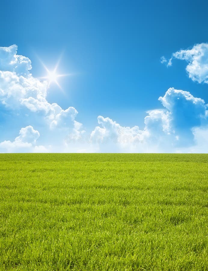 Sky Sun and Grass with Water Drops Stock Image - Image of colorful ...
