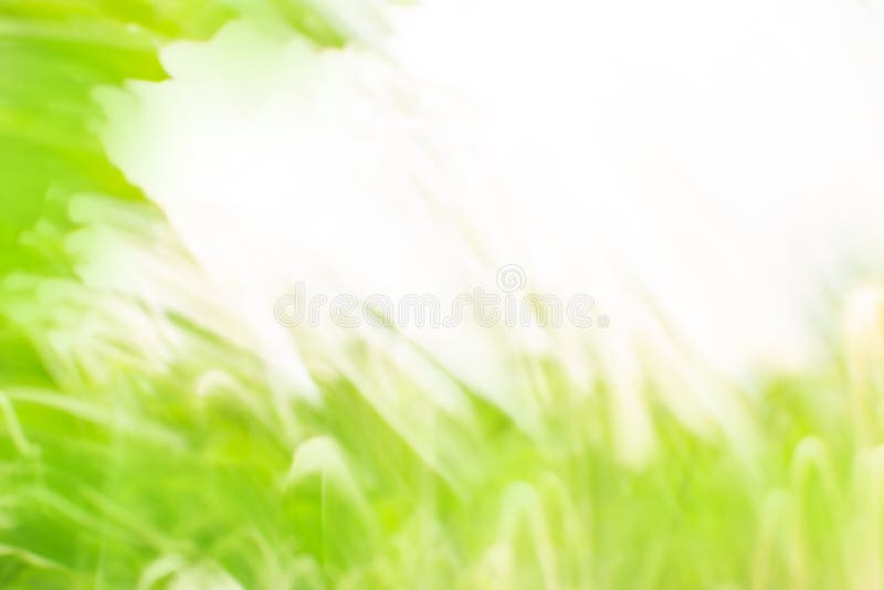 Summer Abstract Bokeh Blurred Yellow Sun and Blue Sky. Summer Sun Light ...