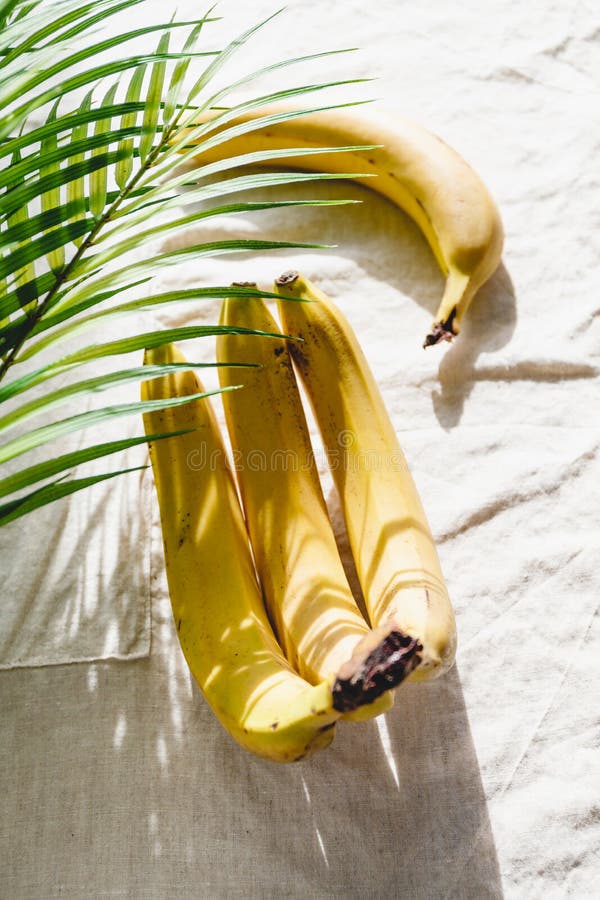 Summer Abstract Composition with Bananas Stock Photo - Image of ...