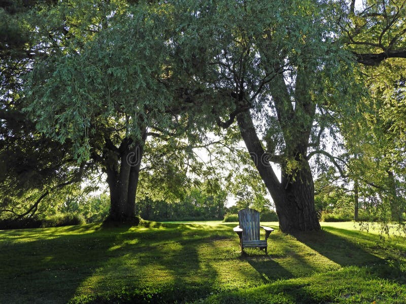 Wood ADK Chair Invites You To Sit Down and Relax in Summer in the Shade ...