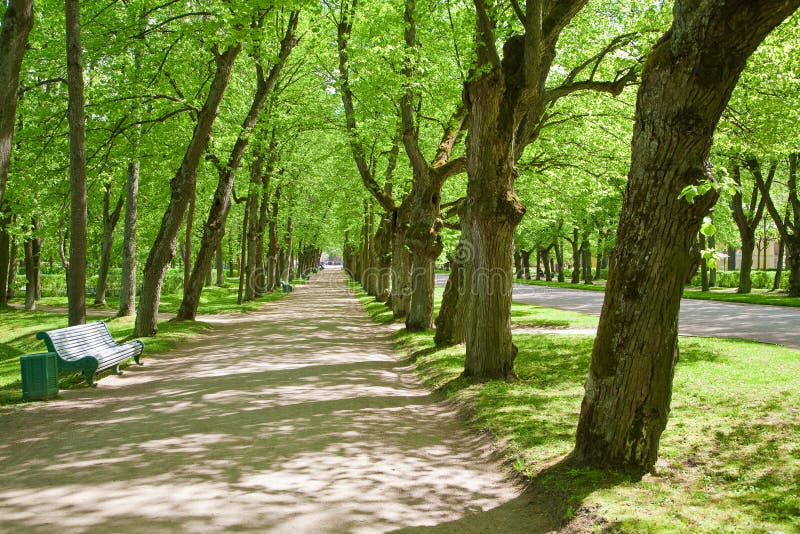 Green Alley in Town stock photo. Image of color, perspective - 8937226