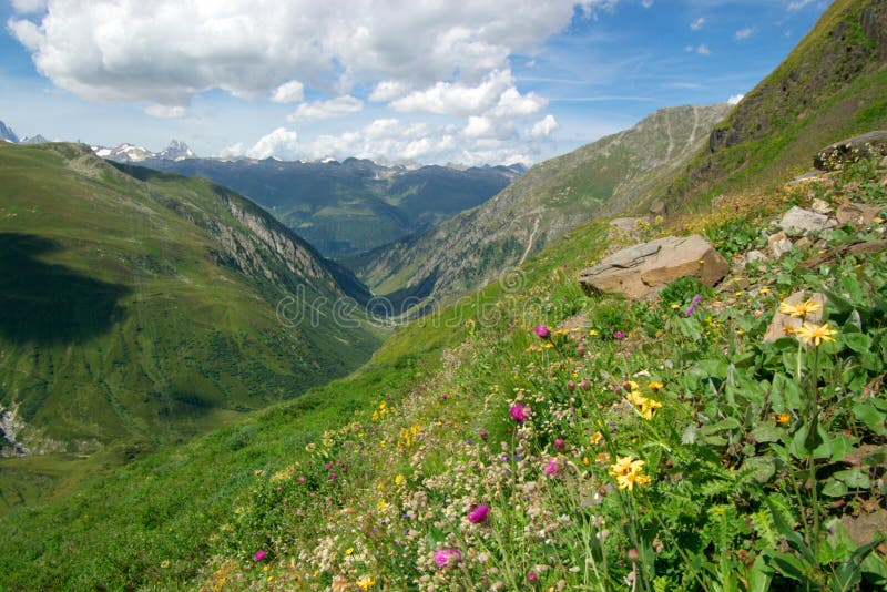 Summer alpine mountains stock image. Image of attractive - 10642421