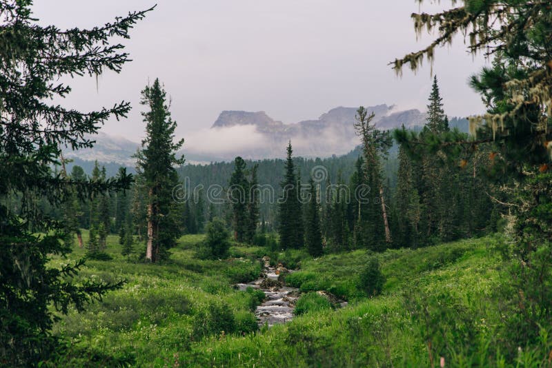 Summer Alpine Plateau with Pastures, Valleys and Forests Stock Image ...