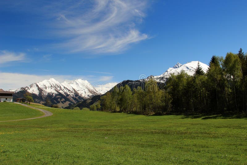 Summer Alps stock image. Image of environment, grassland - 40835201