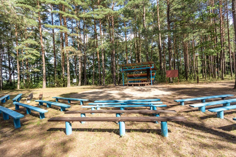 Summer Amphitheater in the Pinery Forest with Colored Benches Stock ...