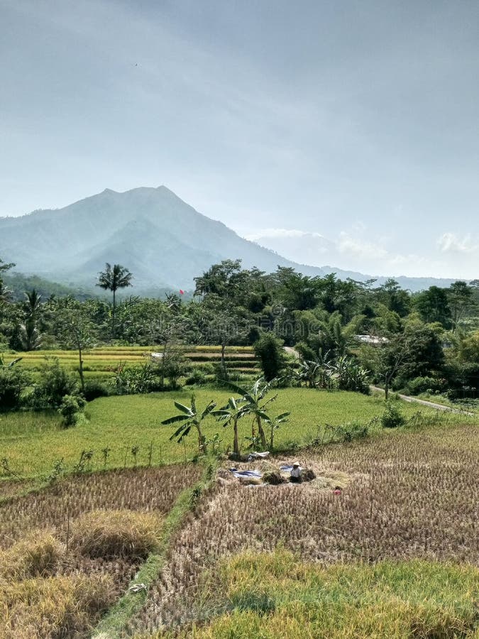 Summer in Andong Montain Magelang Stock Image - Image of magelang ...