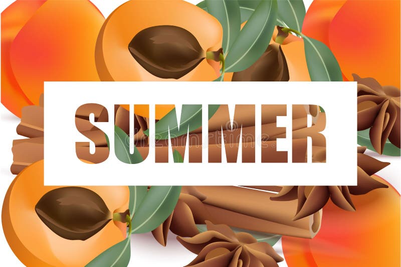 Summer Appricot and Cinnamon Background Pattern Vector Stock Vector ...