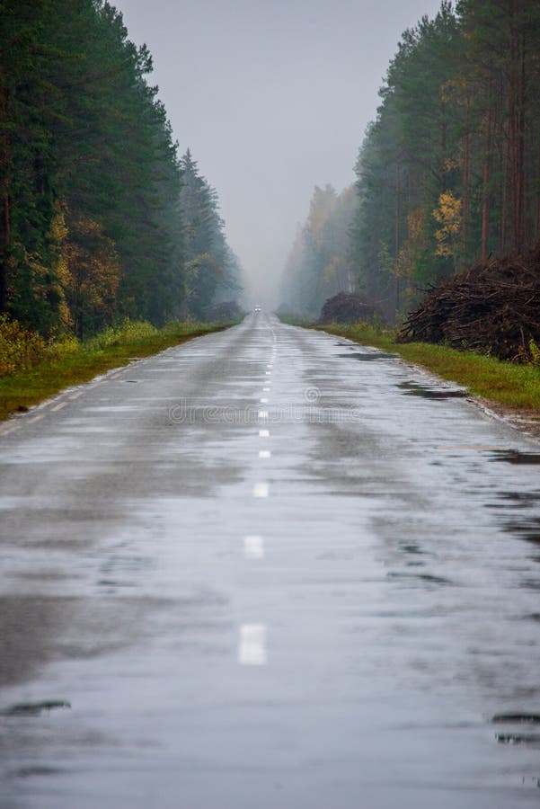 Summer Asphalt Road in Perspective Stock Image - Image of markings ...