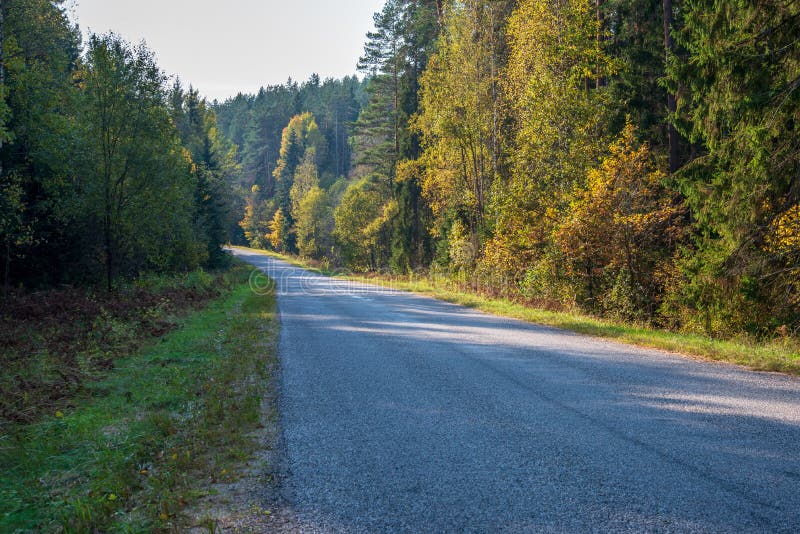 Summer Asphalt Road in Perspective Stock Photo - Image of wood, sides ...