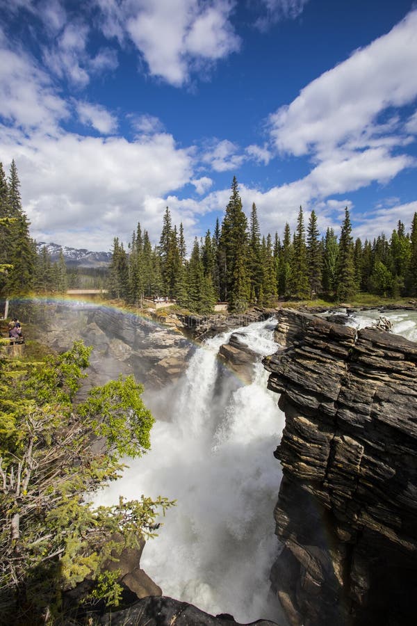 Summer in Athabasca Falls, Jasper National Park, Canada Stock Image ...